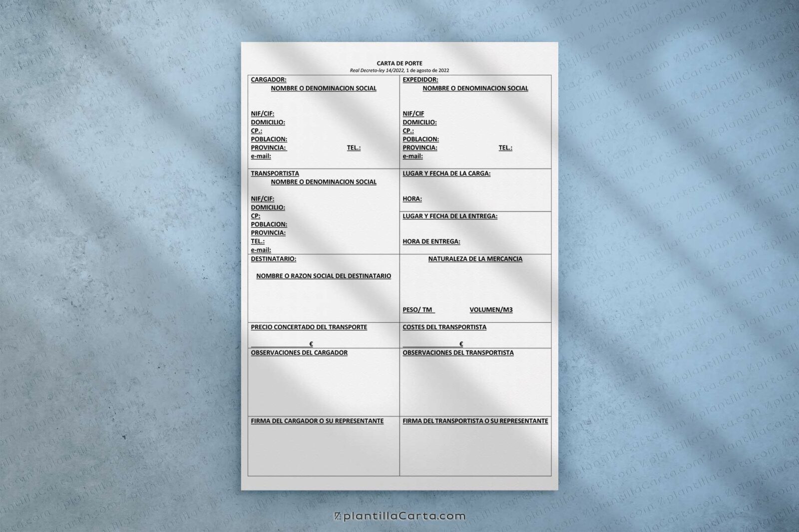 Formato De Carta Porte - Edición Gratis Online - Animacion